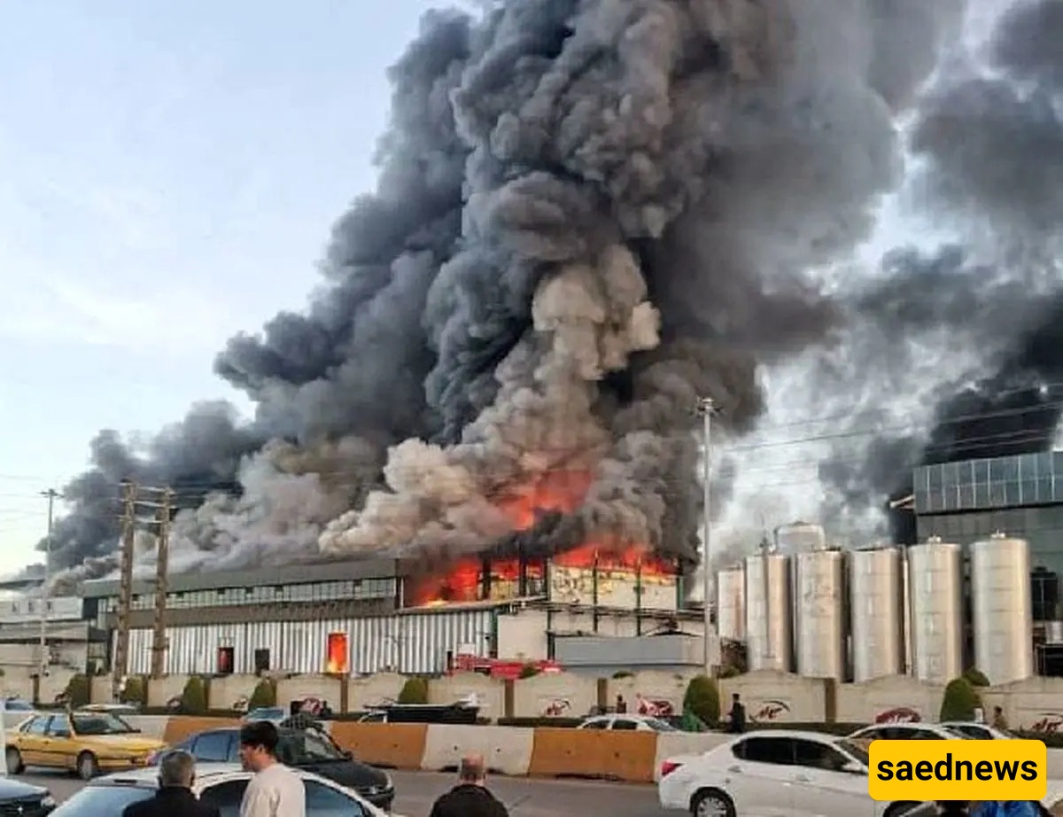 Deadly Fire at Kaleh Dairy Factory: Latest Details + Video | SaedNews