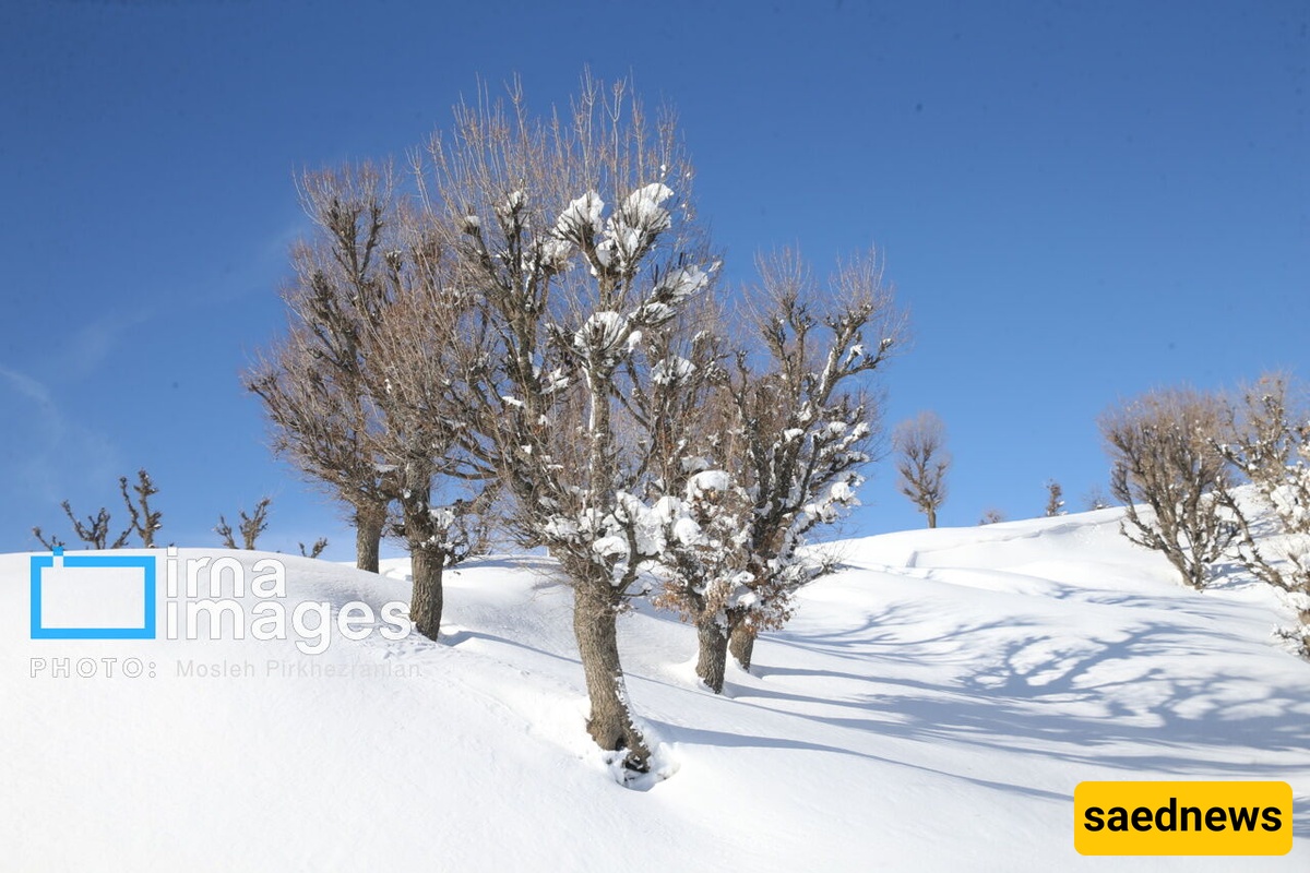 Winter in Baneh, Iran | SaedNews